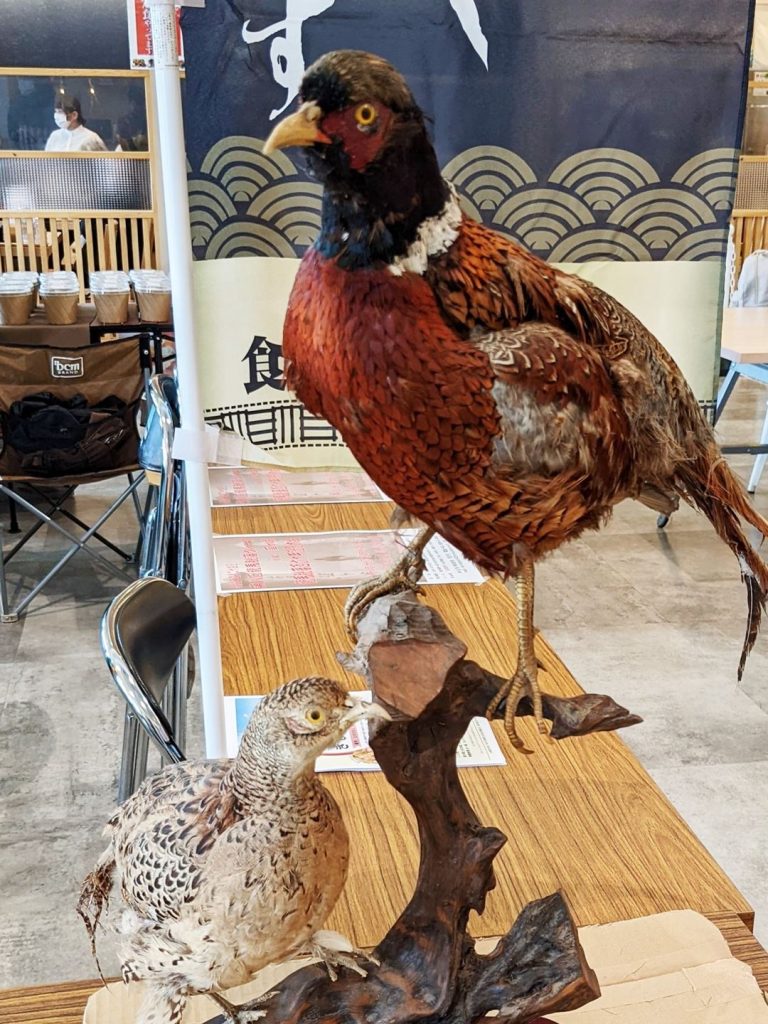 An Elegant Wild Animal in Japan | Japan Course (English)